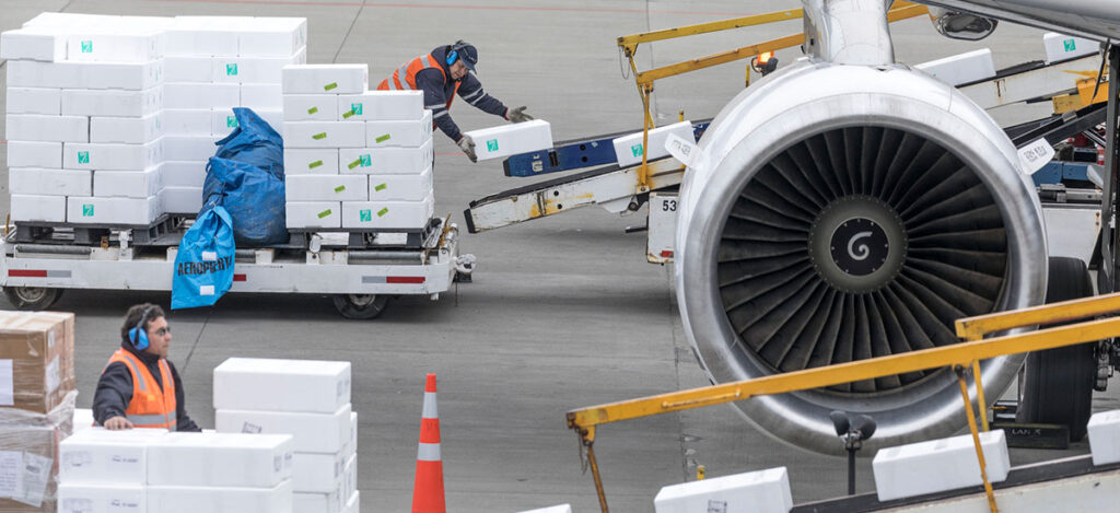 A Guide to Cold Chain Shipping by Air | Pelton Shepherd